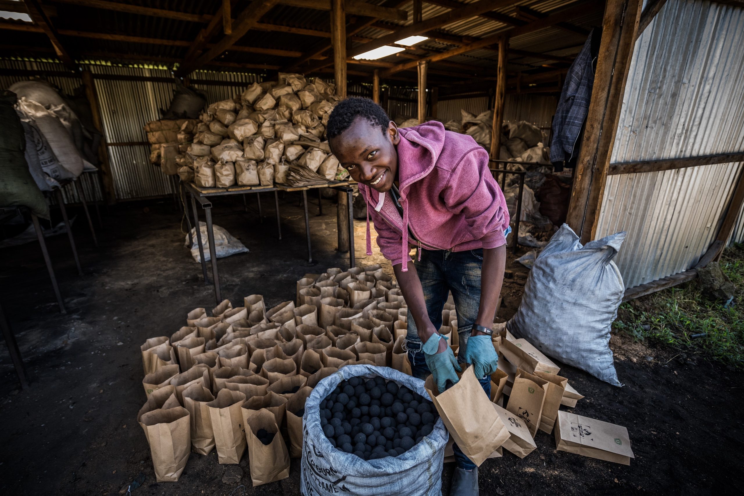 Sanivation (2022) - Rippleworks