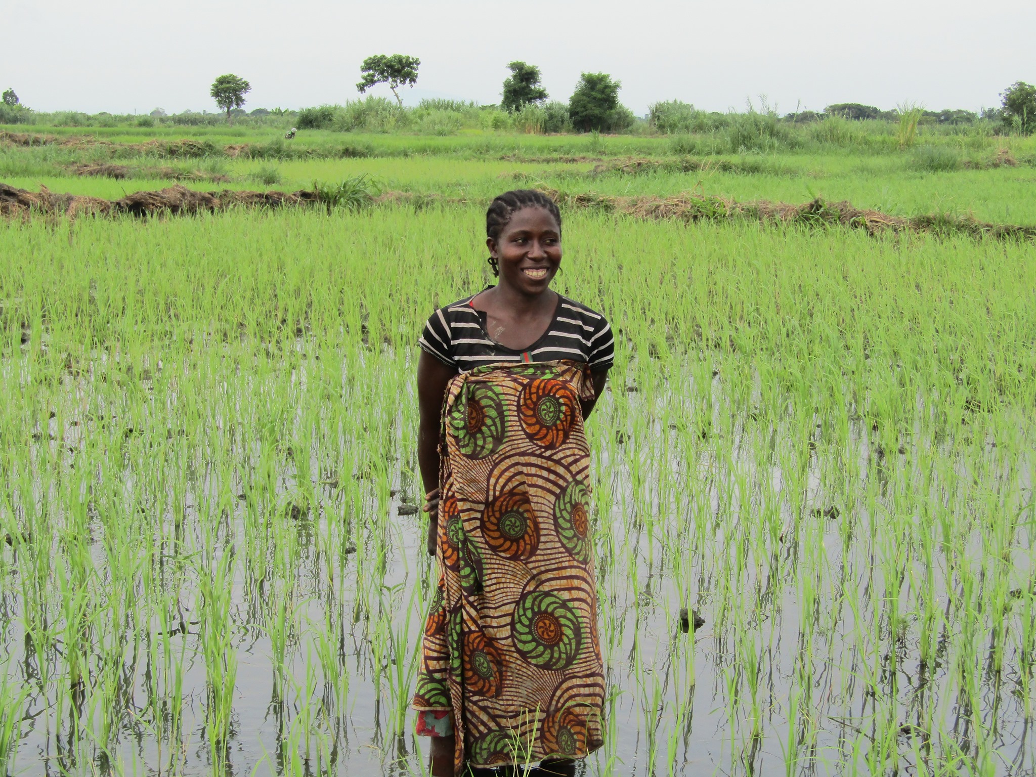 GGEM Farming - Rippleworks