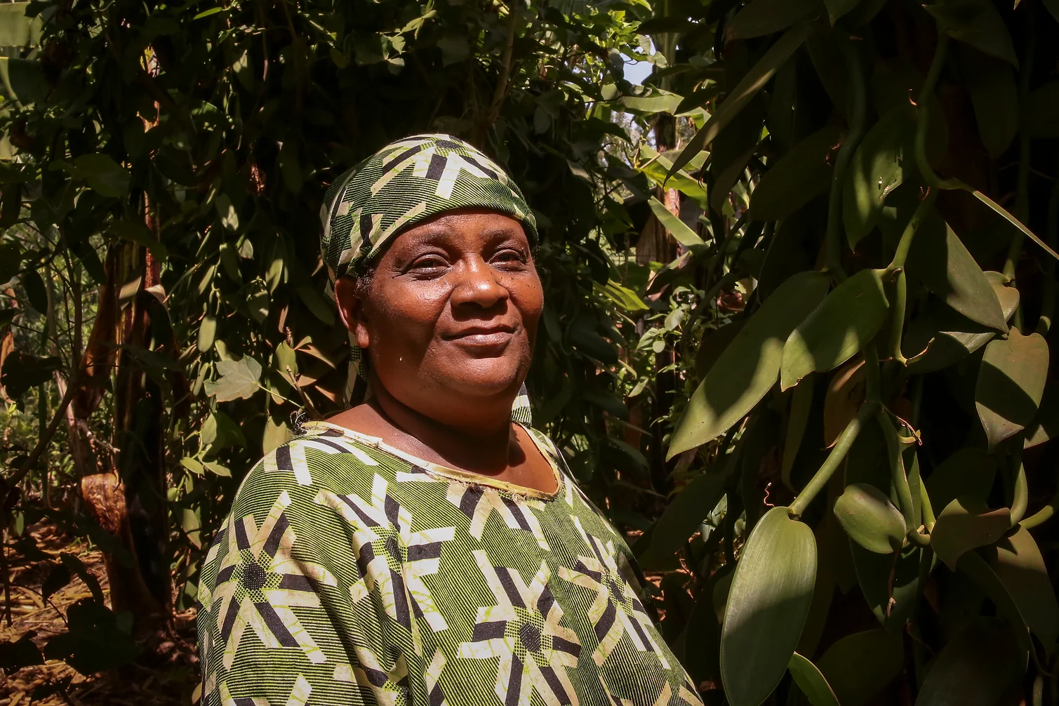 GGEM Farming - Rippleworks