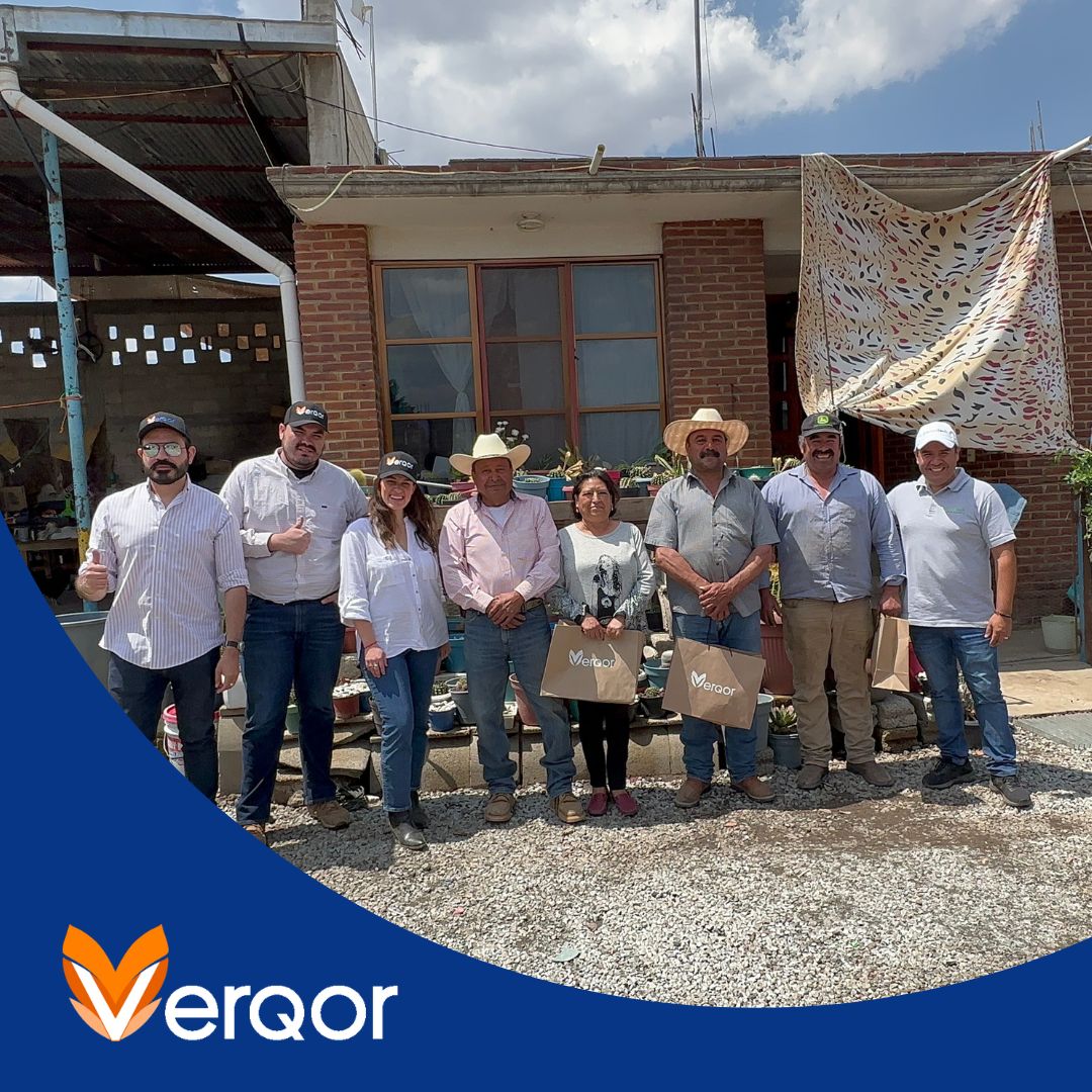 Verqor - Rippleworks